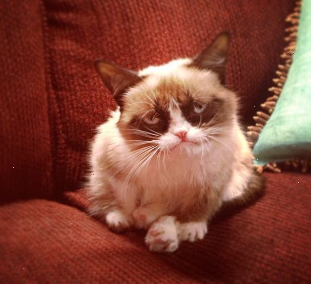 Hoe je vloot in Battlestations Midway bewegen – E2A